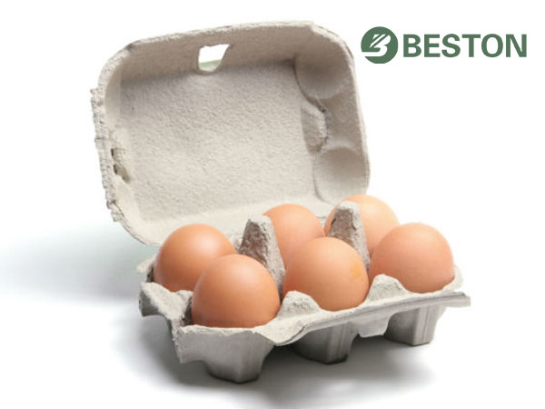 All About the Paper Egg Carton Manufacturing Process - Wizard's Blog